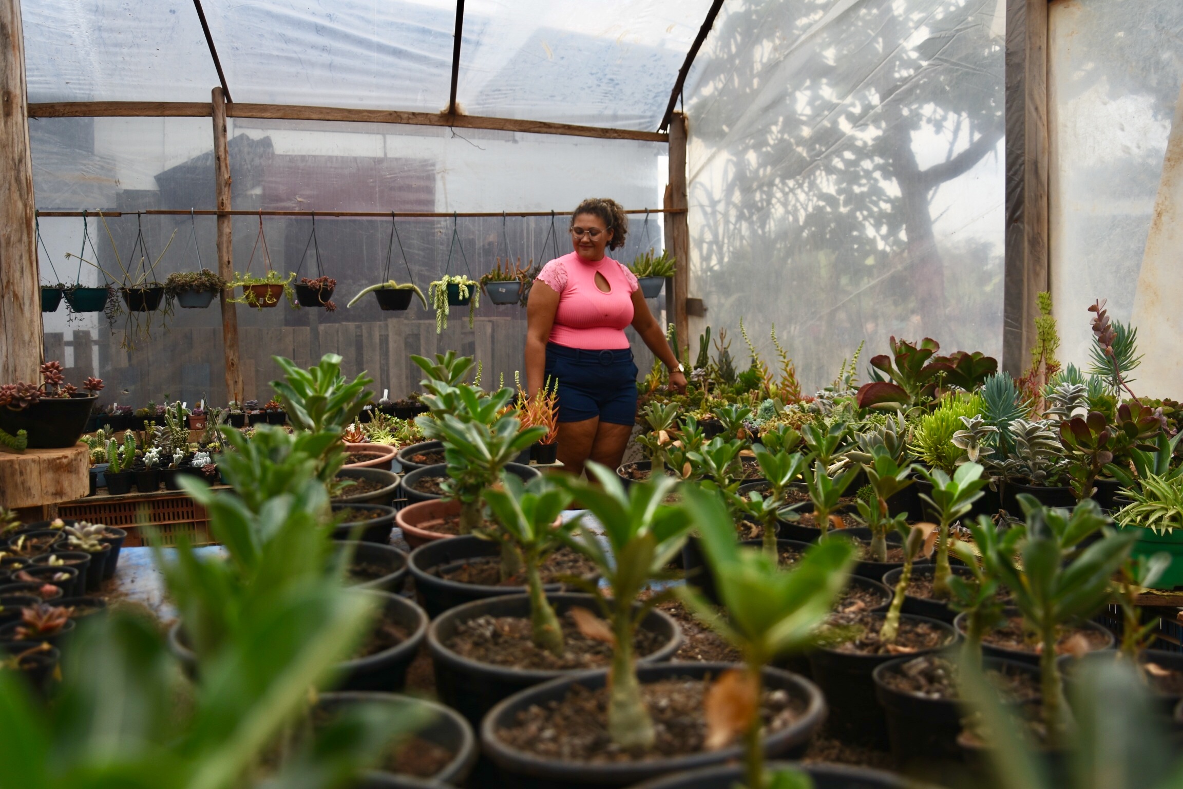 Em assentamento, trabalhadoras vivem o desafio de empreender - Agência ...