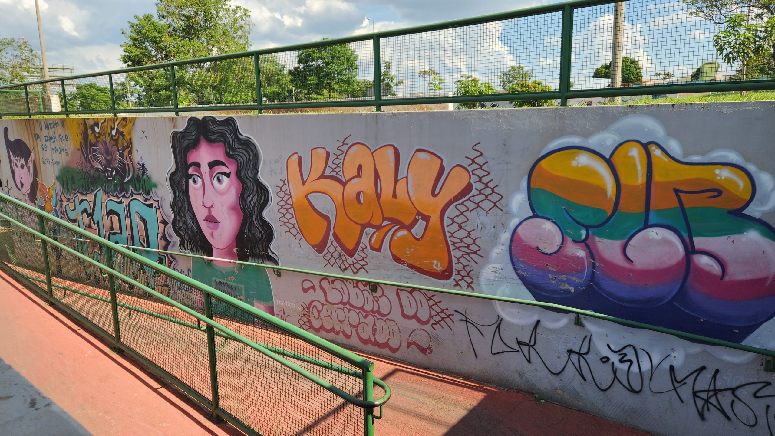 Grafite colore as periferias da capital - Agência de Notícias CEUB