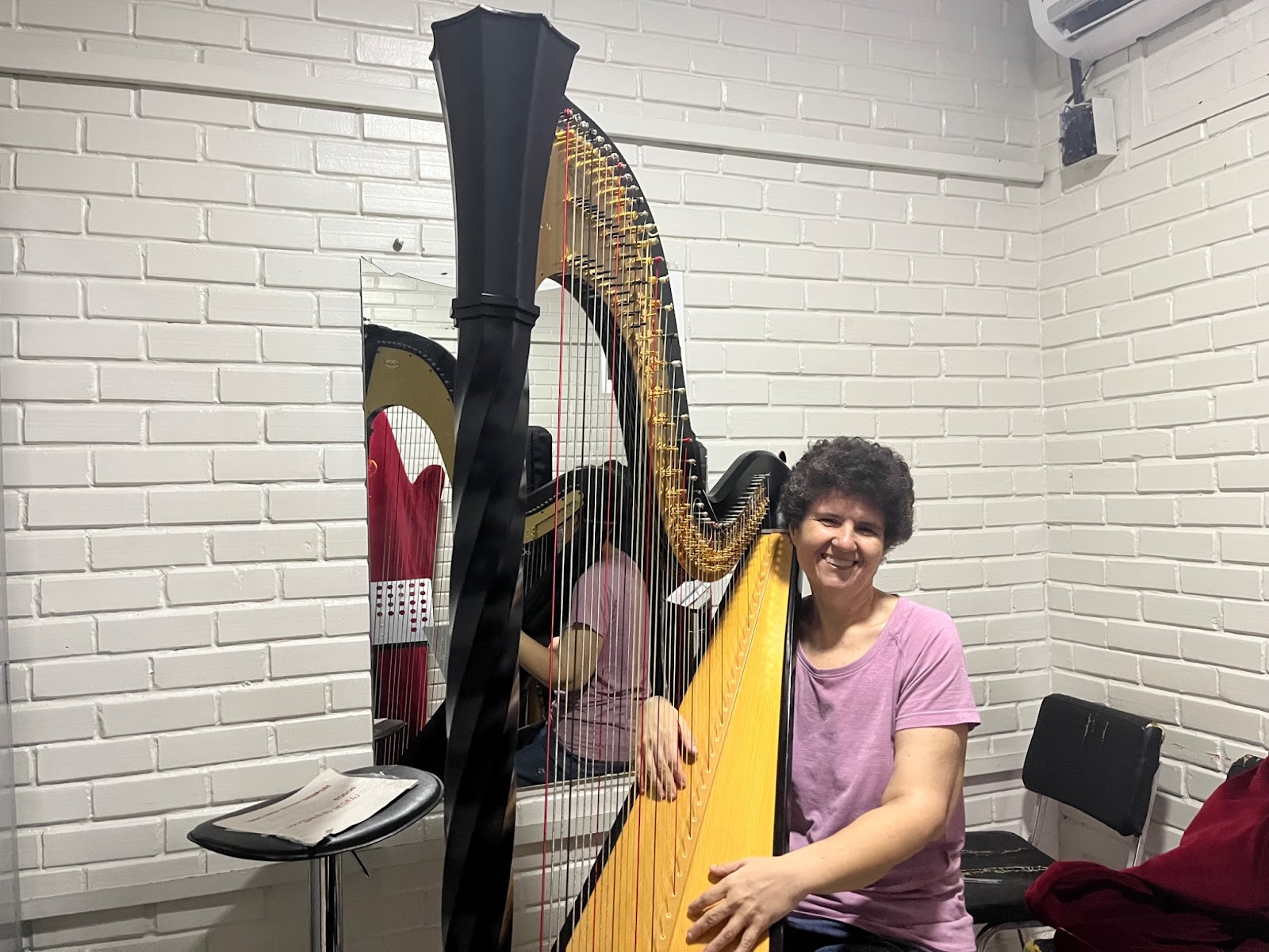 Professoras da Escola de Música de Brasília dizem que estímulo para ...